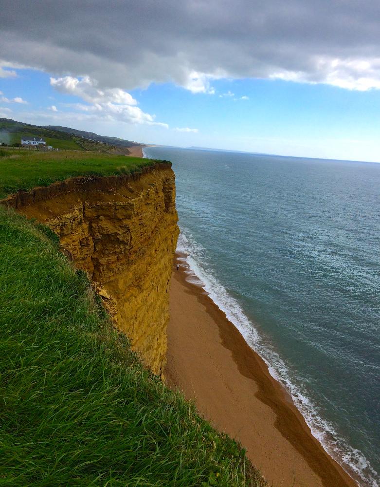 Programs > International Center