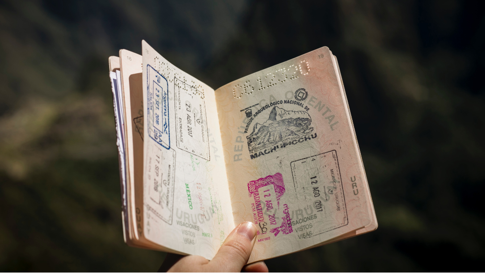 Programs > International Center